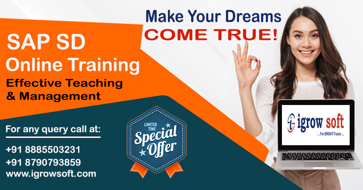 SAP SD Training for Beginners | sap sd online training india