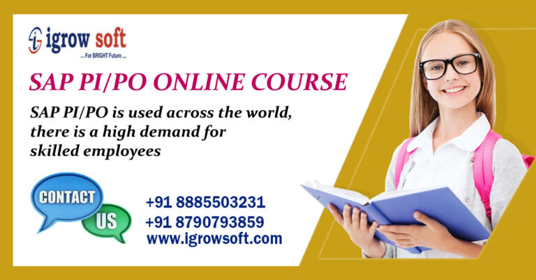 SAP PIPO Course Training with Placement | Igrowsoft