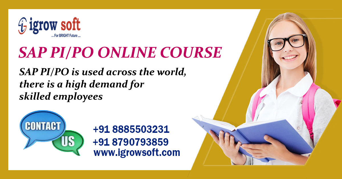 SAP PIPO Course Training with Placement | Igrowsoft