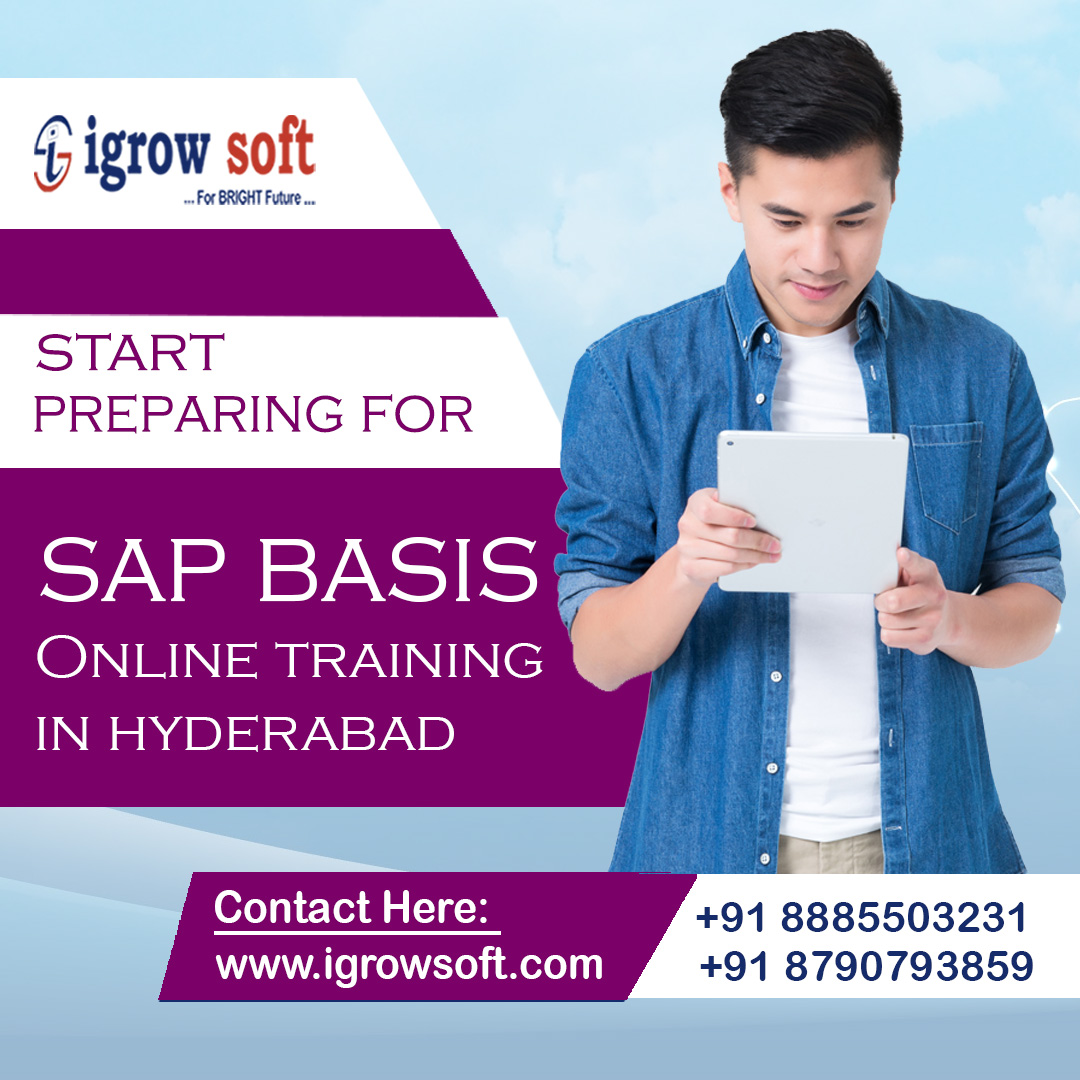 SAP BASIS