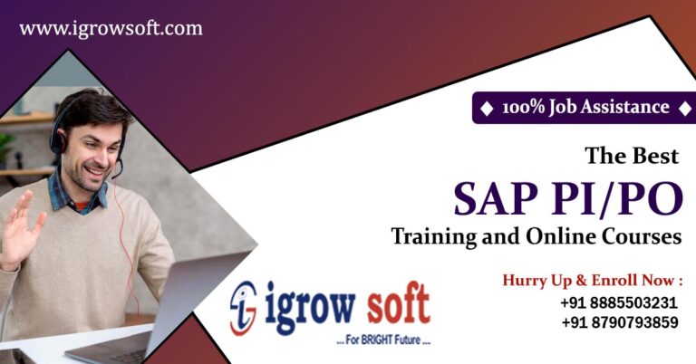 Best ERP PIPO Online Training with Placement - IGROWSOFT