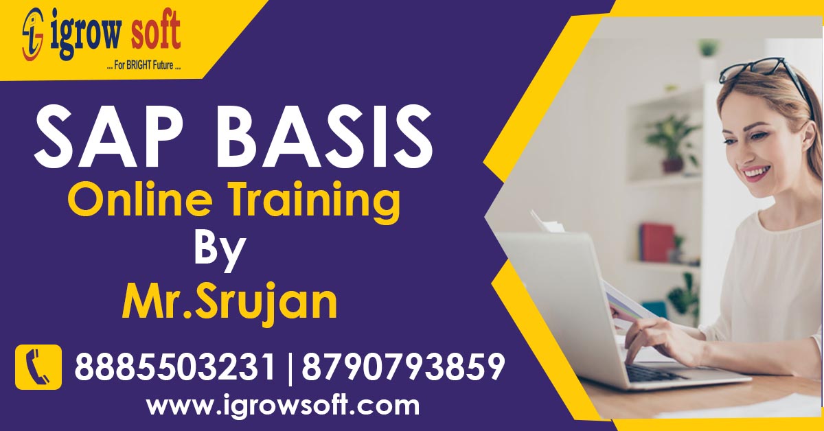 sap basis training Hyderabad with placement Assistance