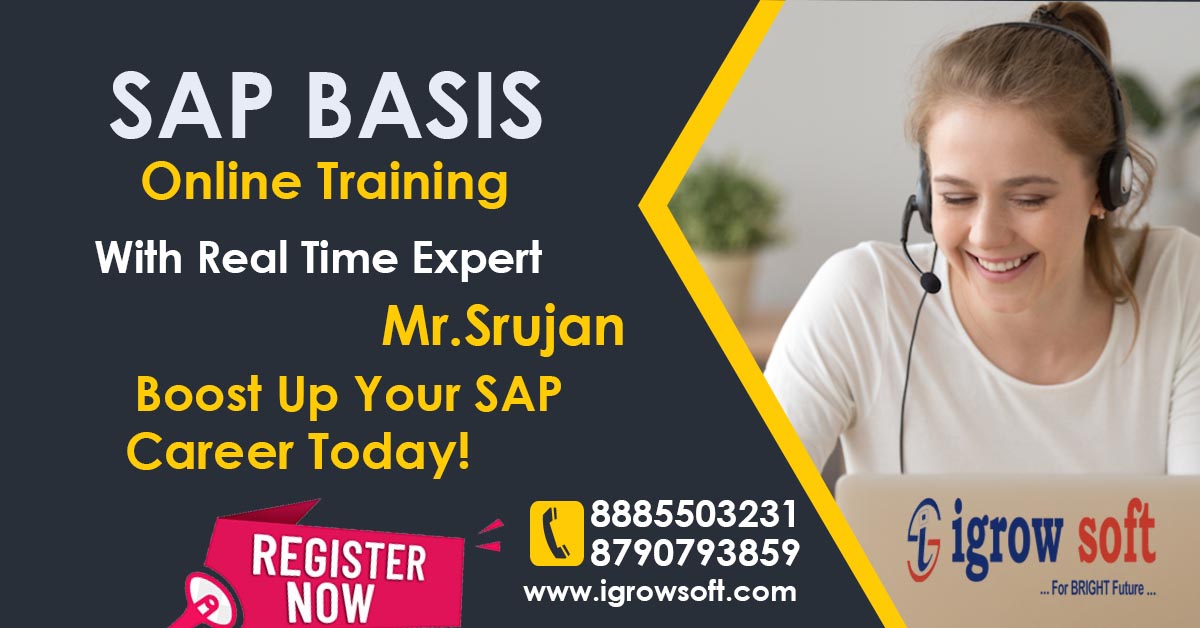 SAP Basis Course Training in Hyderabad India|Igrowsoft