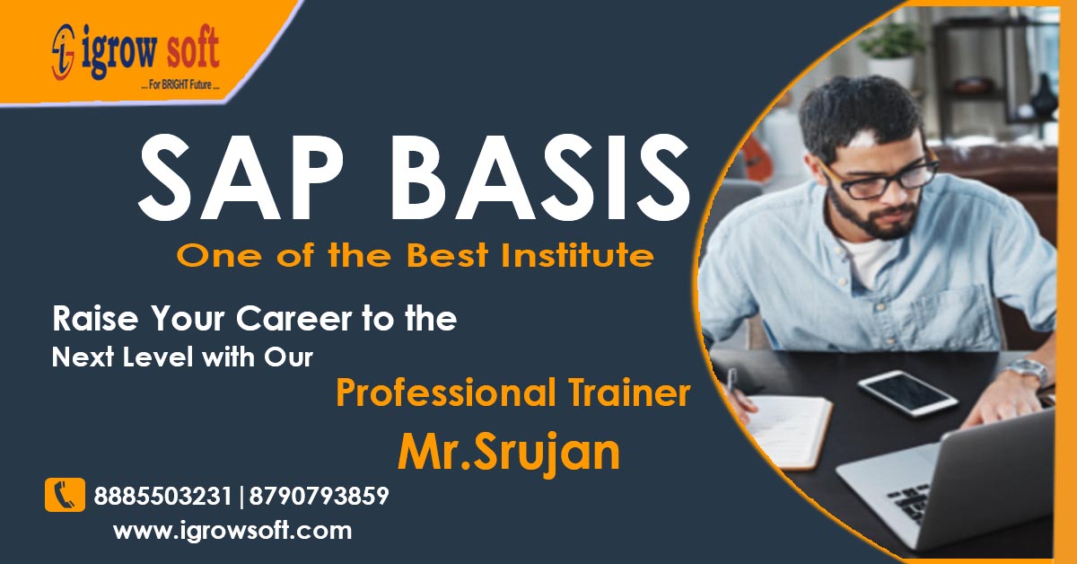 SAP Basis Training in Hyderabad | Igrowsoft