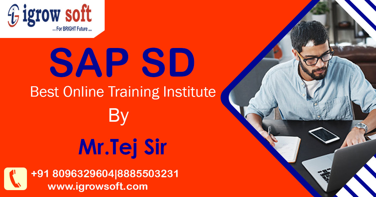 SAP SD Top Training Institute in Ameerpet Hyderabad