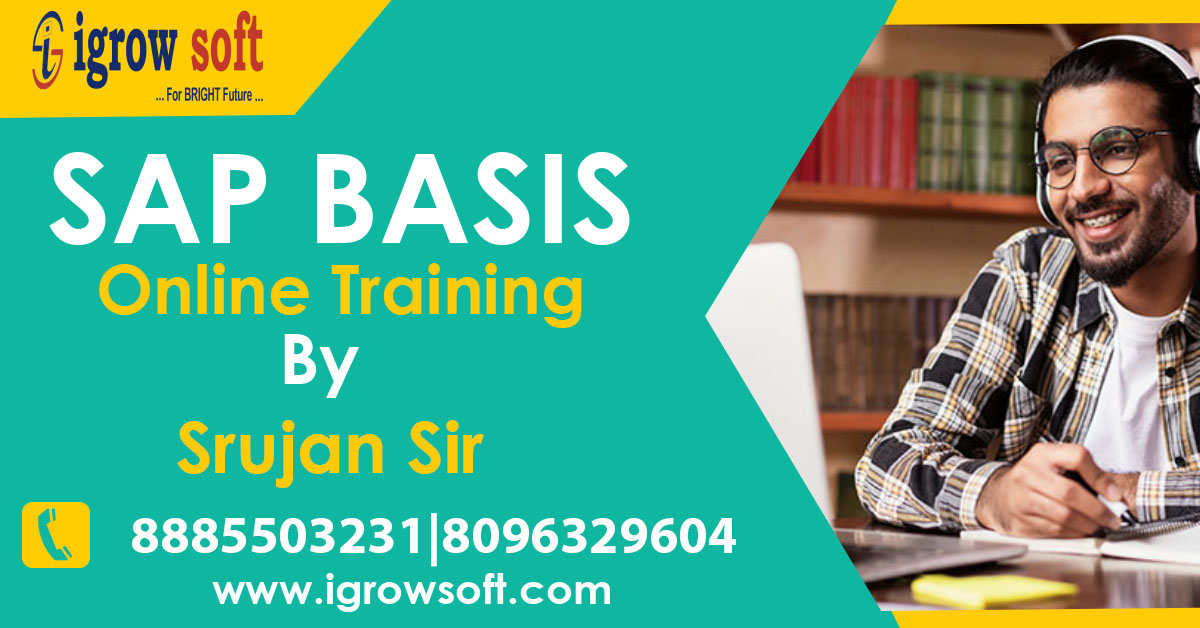 Top SAP BASIS Course Online Training Institute in Ameerpet